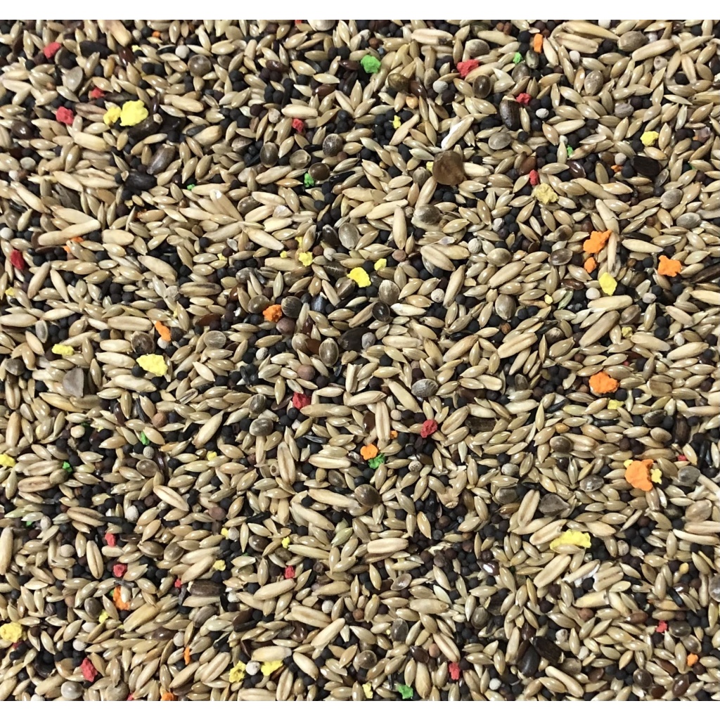 40001 Canary Special Mix 1kg
