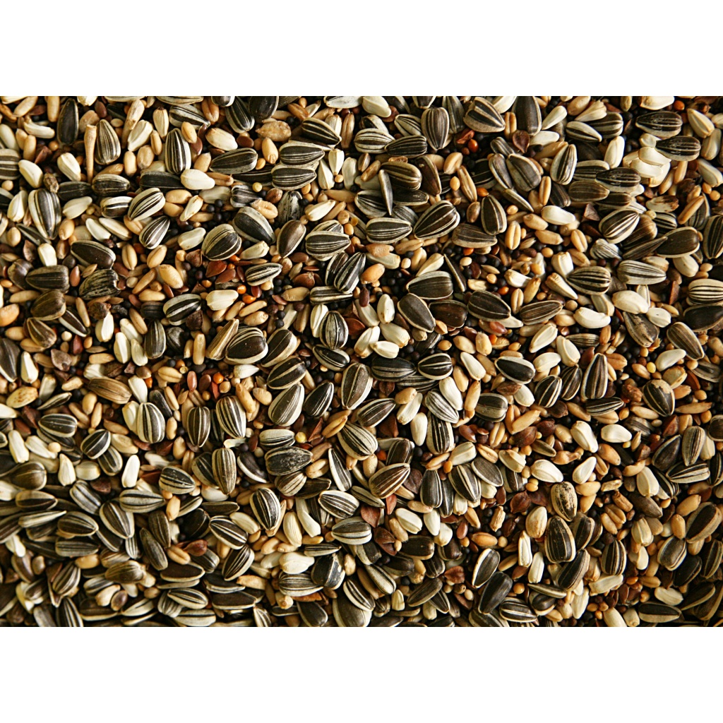 Finch Mix 20kg
