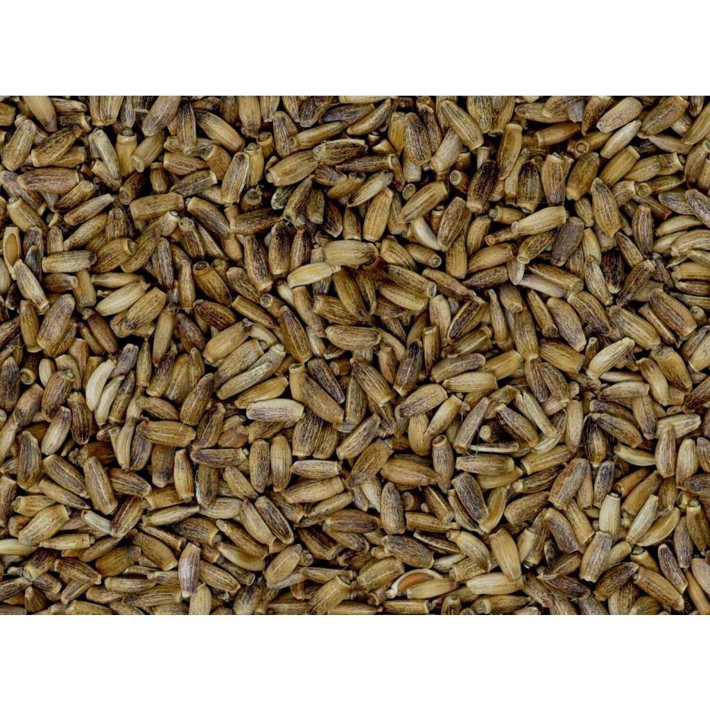Milk Thistle seed
